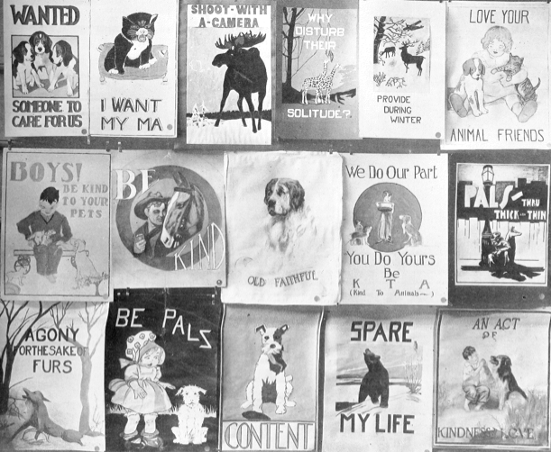 Entries in the MSPCA and AHES Annual Poster Contest – Be Kind: A Visual ...