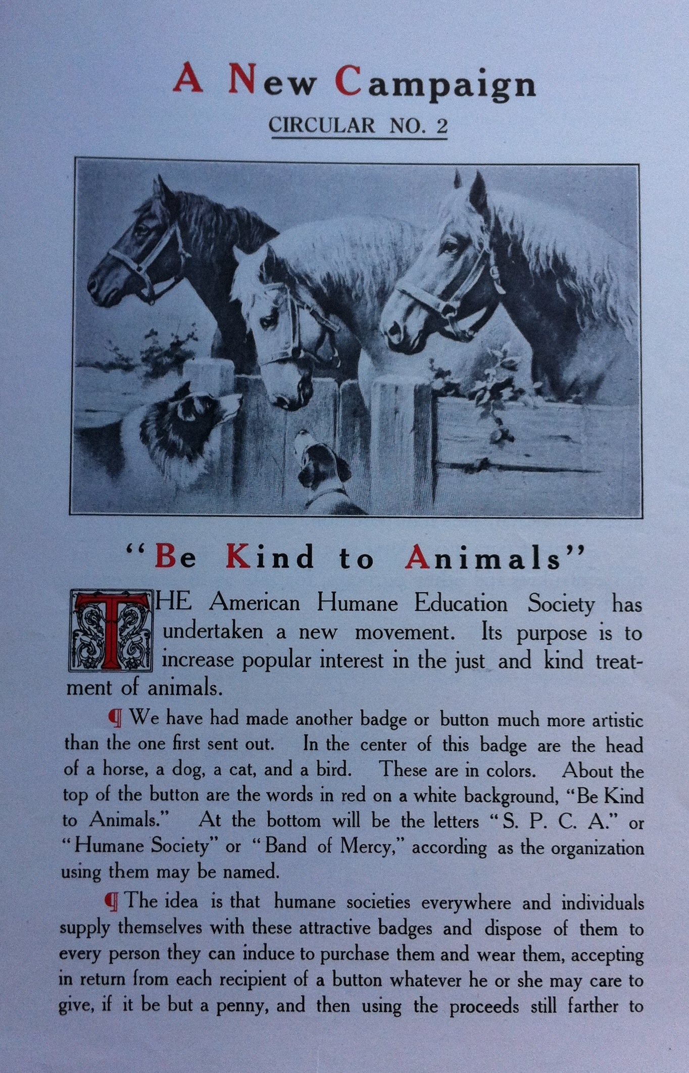 American Humane Education Society – Be Kind: A Visual History of Humane ...