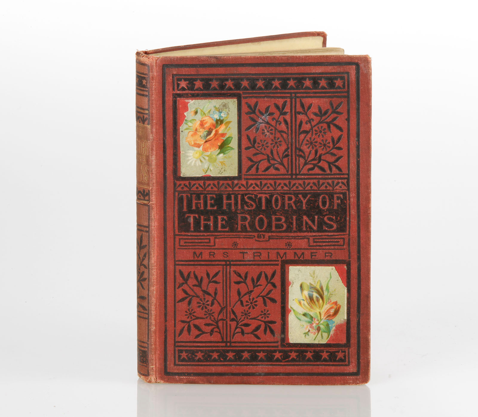 The History of the Robins – Be Kind: A Visual History of Humane Education